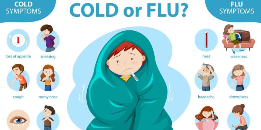 All You Need to Know About the Common Cold: Causes, Symptoms ...