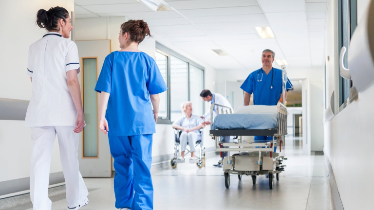 Exploring Healthcare Excellence: A Comprehensive Guide to Hospitals in ...