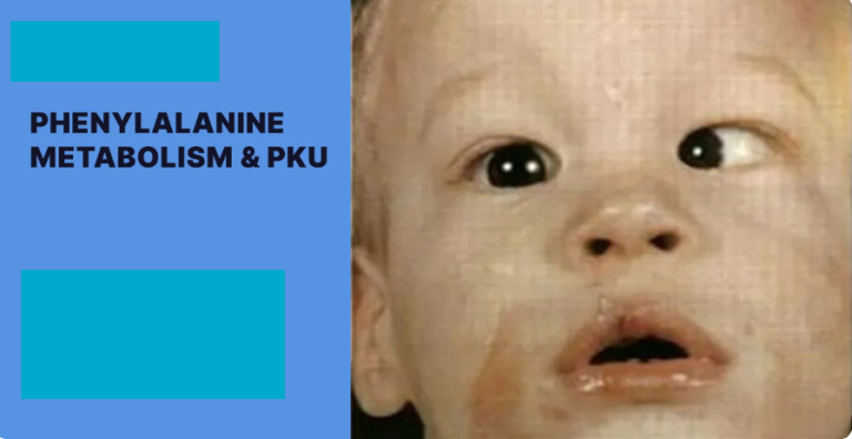 Phenylketonuria (PKU): A Complete Guide to the Metabolic Disorder – My Hospital Now
